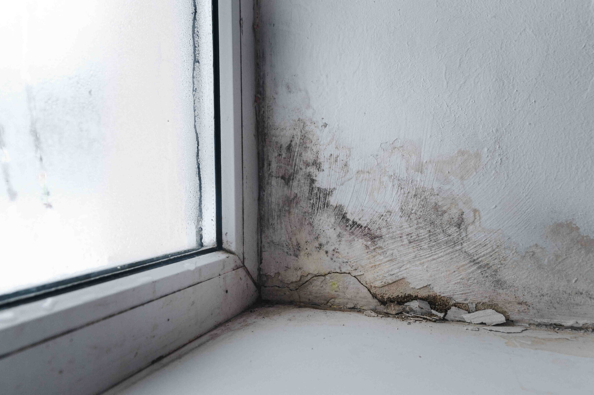 Housing Disrepair Claim Guide - How Much Compensation?